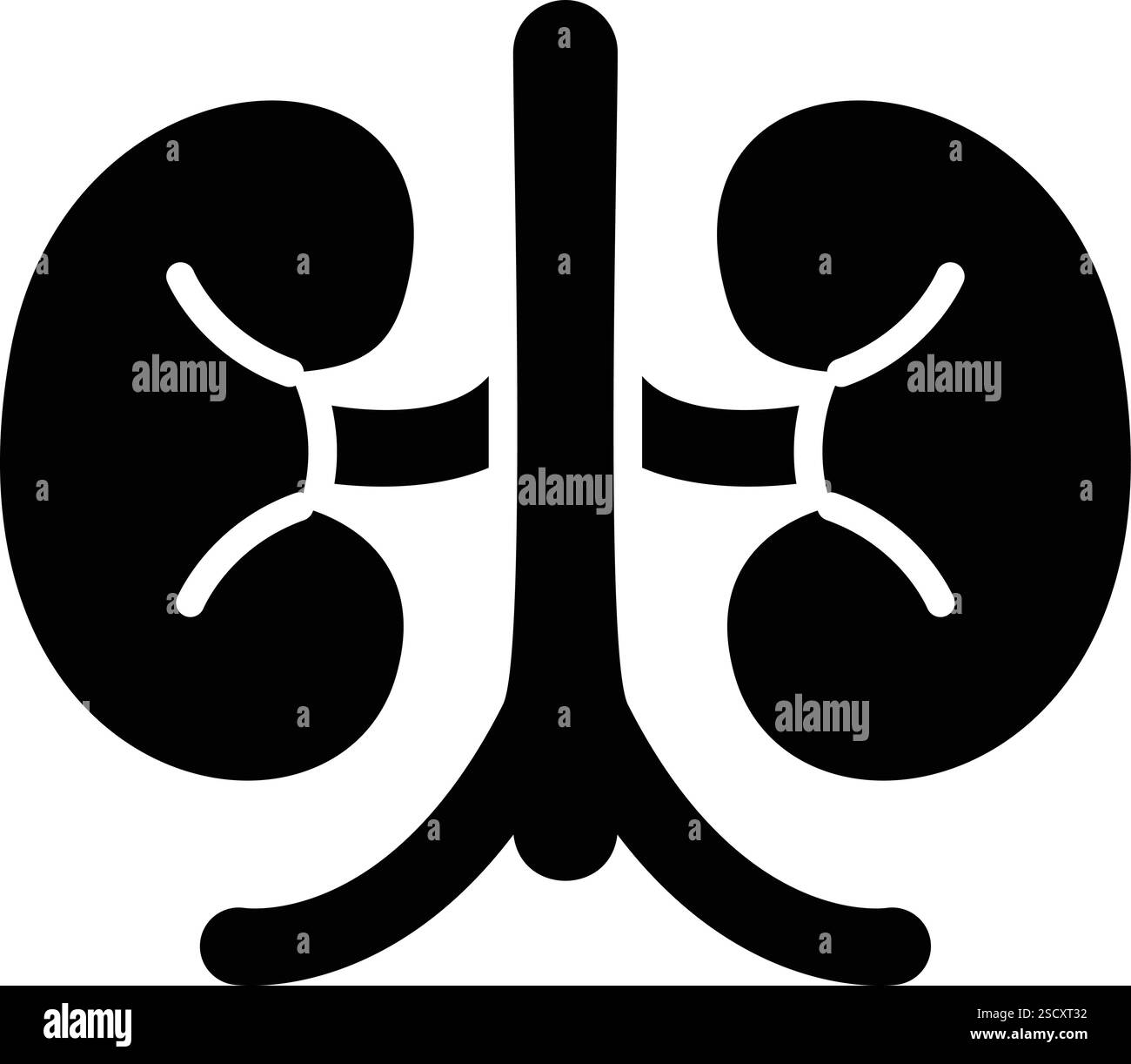 Kidney Vector Icon Design Illustration Stock Vector Image & Art - Alamy