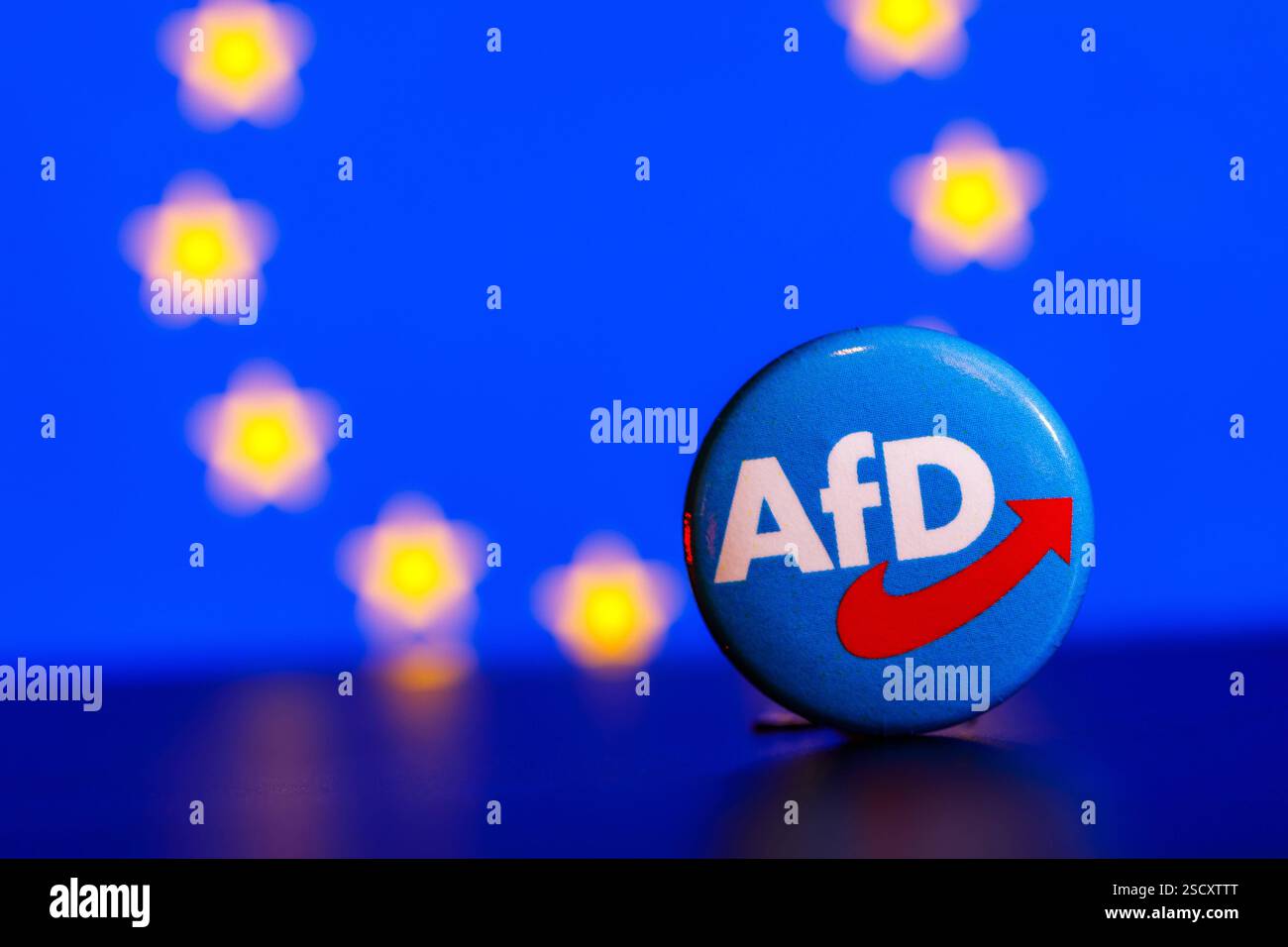 Symbolfoto AfD DEU/Deutschland/Illustration, 07.02.2025, Ein ...