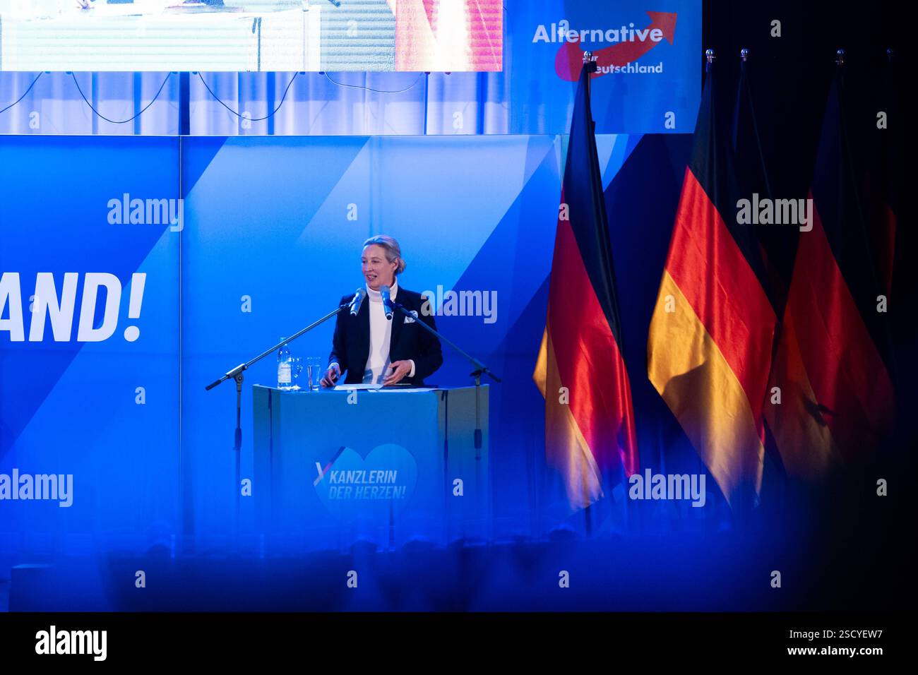 Greding, Bavaria, Germany - February 7, 2025: Election campaign event of the AfD Alternative for ...