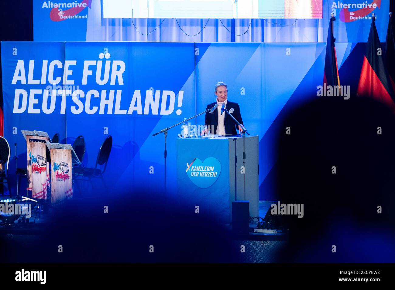 Greding, Bavaria, Germany - February 7, 2025: Election campaign event of the AfD Alternative for ...