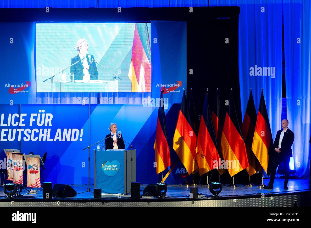 Greding, Bavaria, Germany - February 7, 2025: Election campaign event of the AfD Alternative for ...