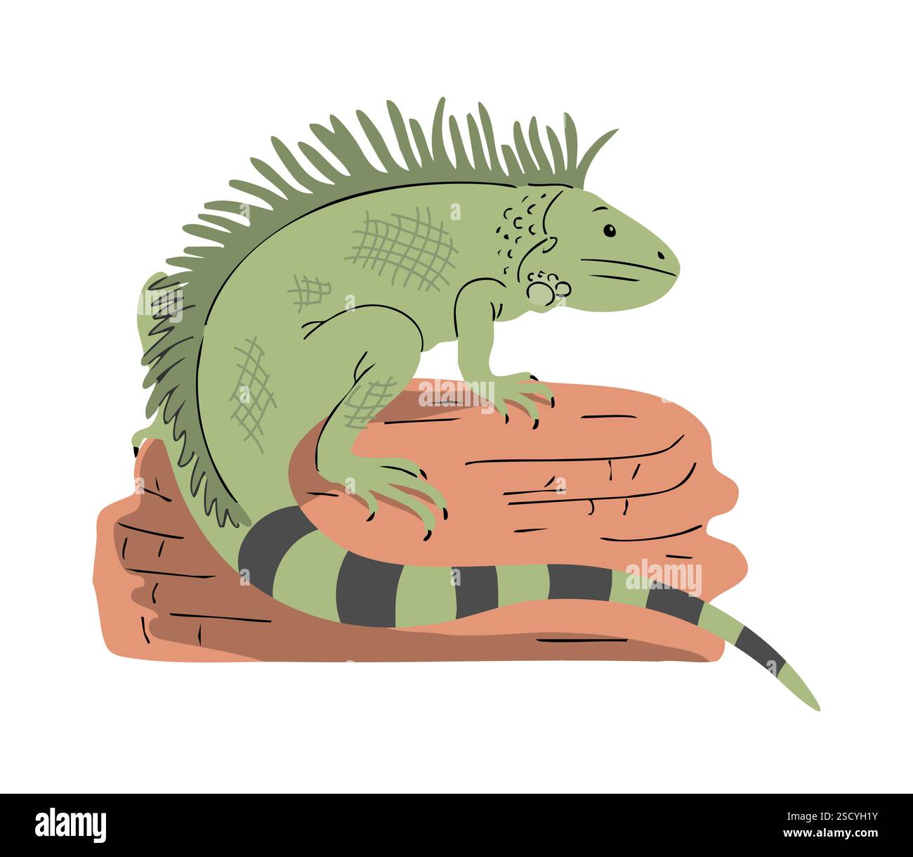 Green iguana on a stone. Exotic reptile. Animal in the wild. Nature and ...