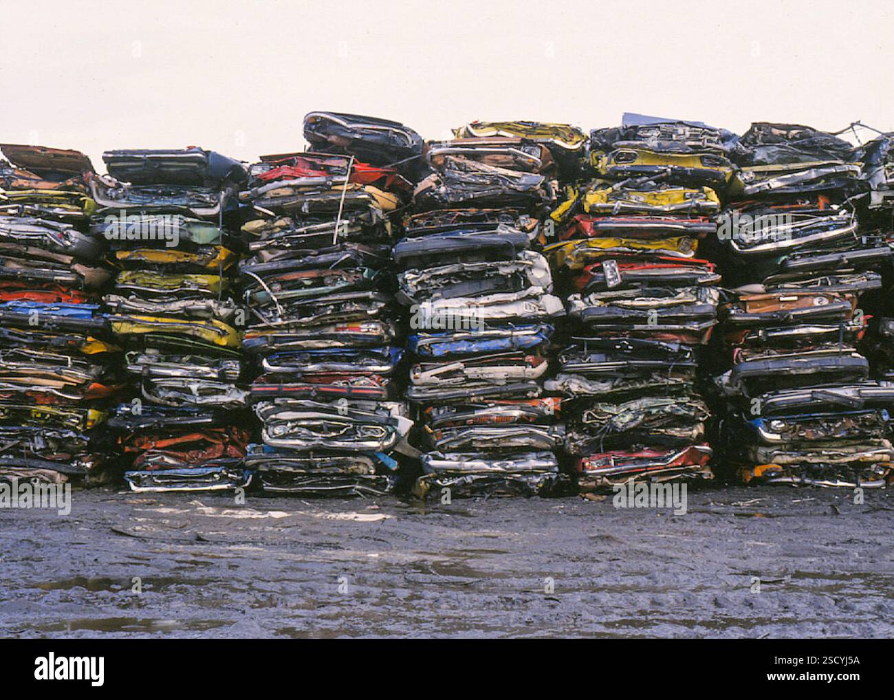 CAR SCRAP with flattened old cars stacked in piles awaiting recycling ...