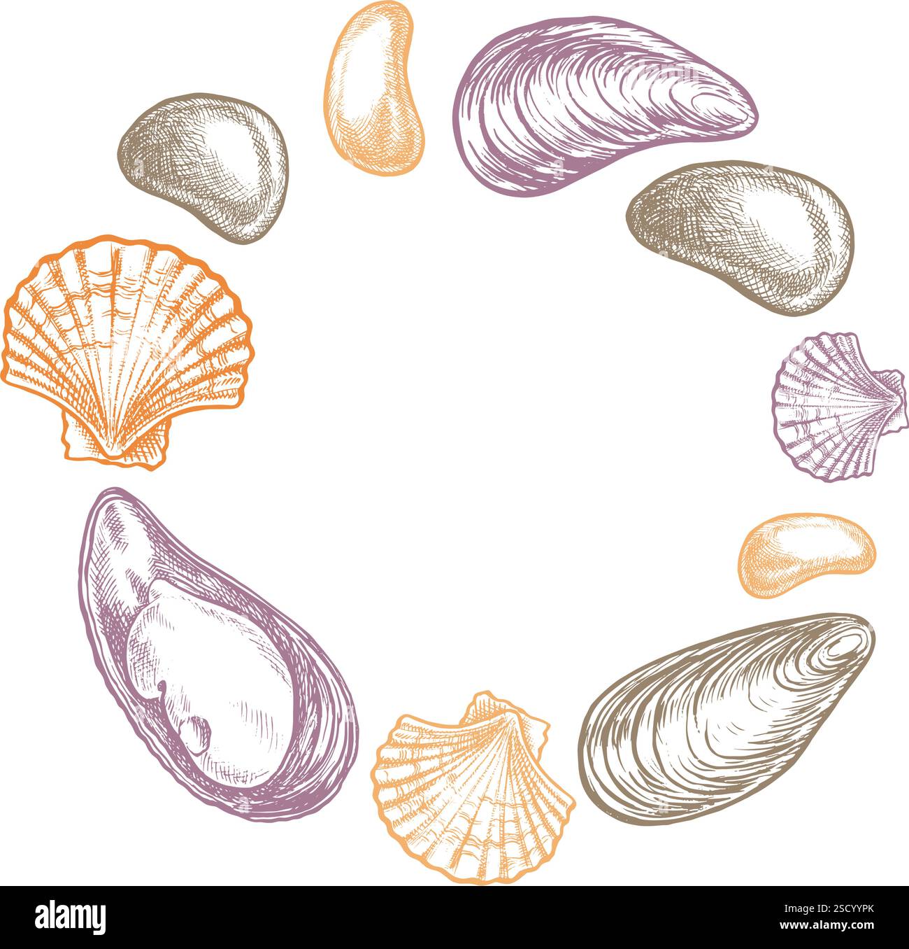A round composition of shells and pebbles. Hand-drawn vector ...