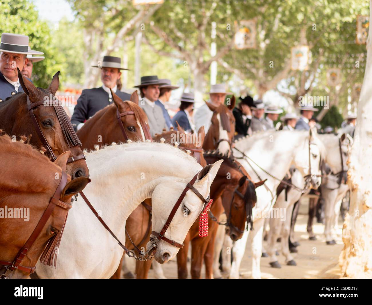 Group of Spanish riders in traditional attire on horseback at an ...