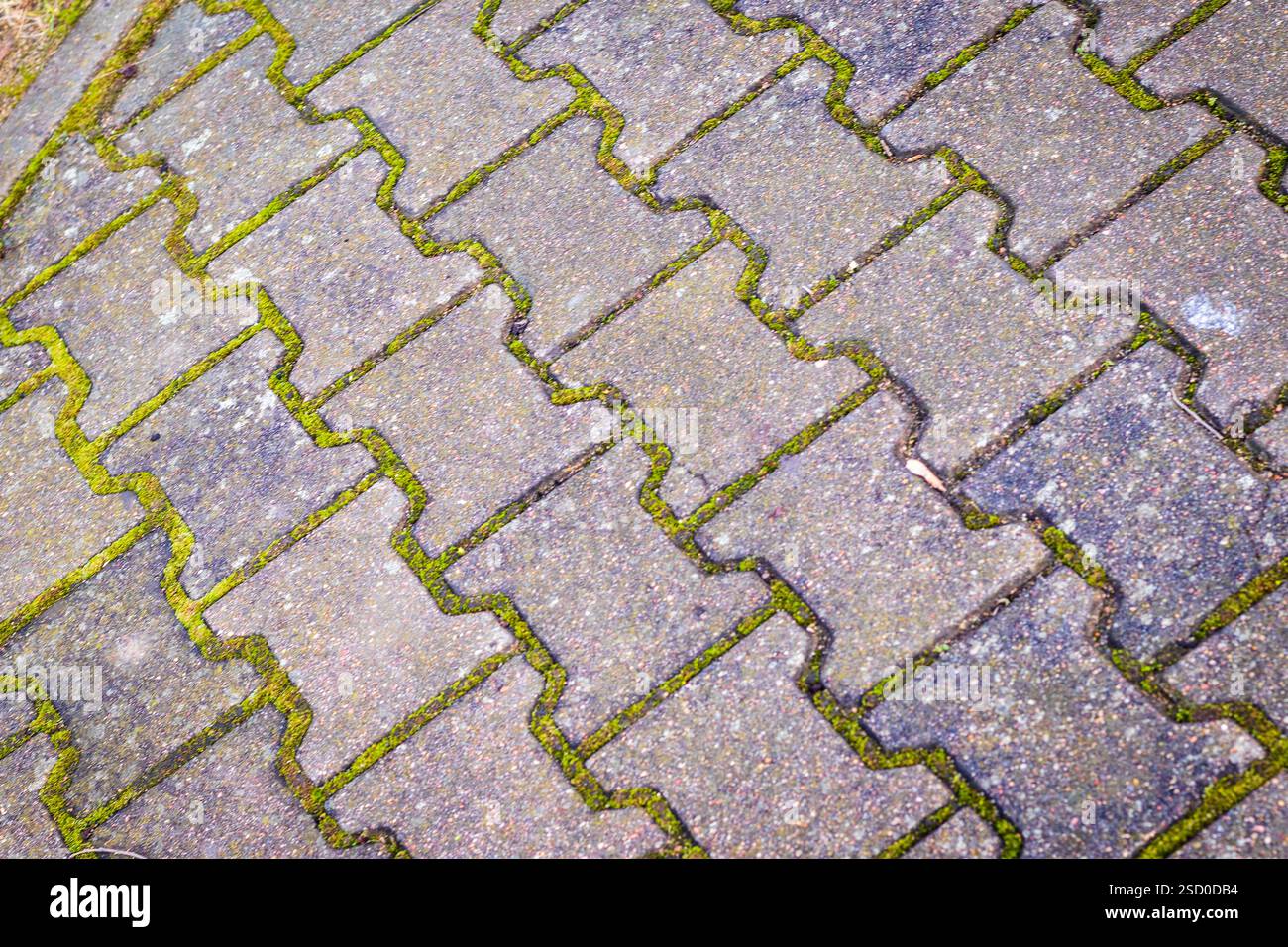 Shot of the old interlock bricks with grass between them Stock Photo ...