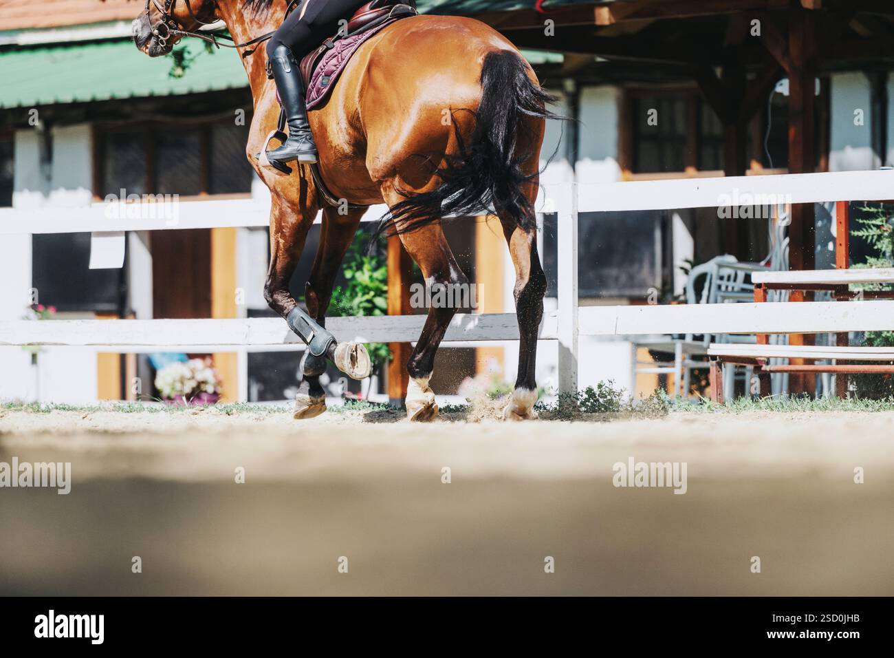 Horseback riding in an outdoor arena near a countryside stable Stock ...
