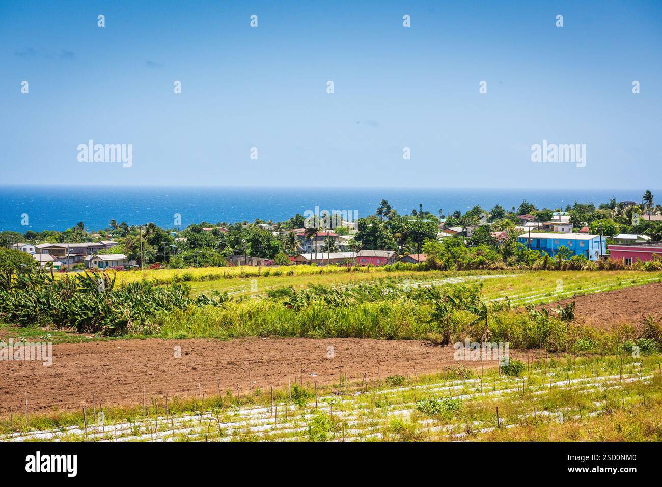 Agricultural fields seen on on historic St Kitts Scenic Railway train ...
