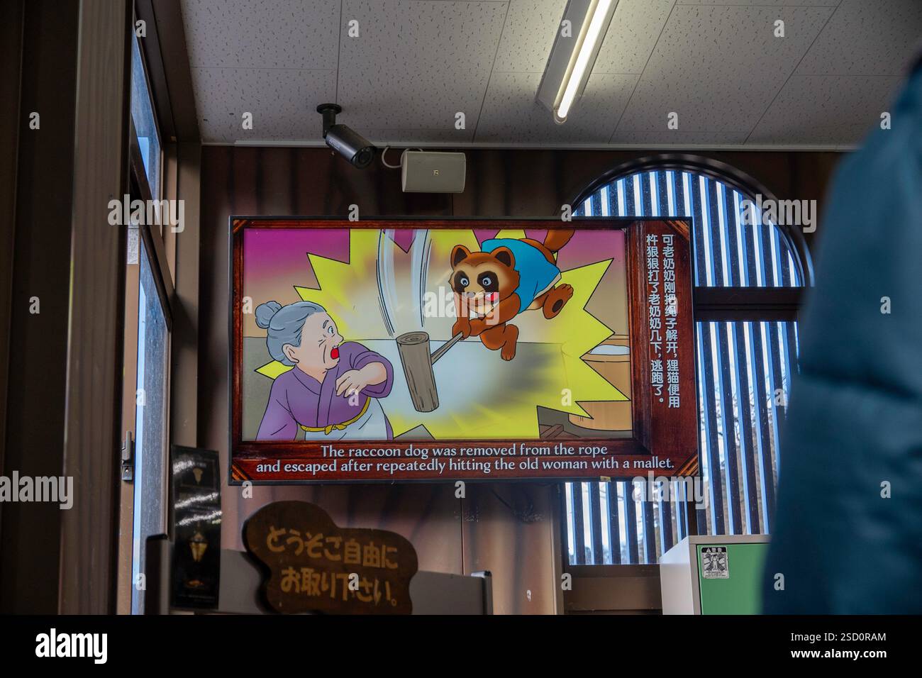 Fujiyama, Japan - Jan 2nd 2025: Adventures of a raccoon dog in Japan's ...