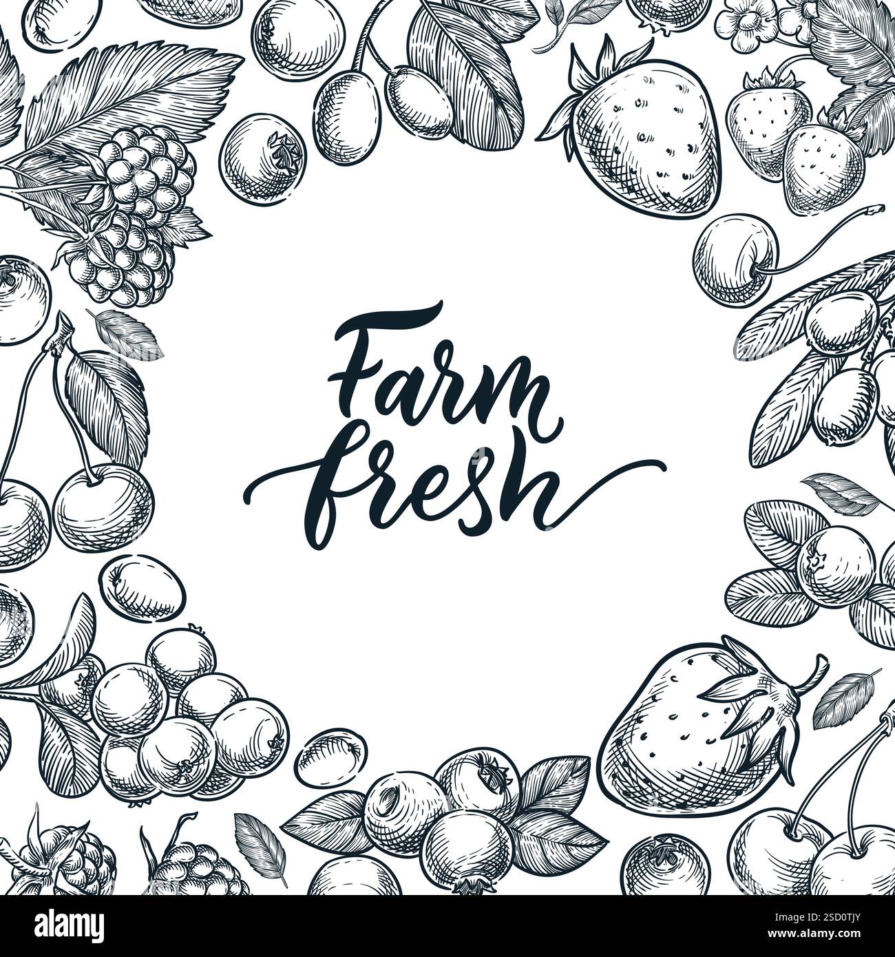 Ripe berries square frame. Vector hand drawn sketch illustration of ...