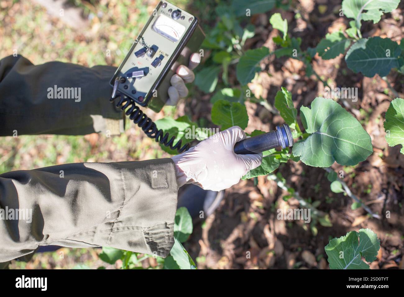 Scientist using portable Geiger counter to measure radiation levels in ...