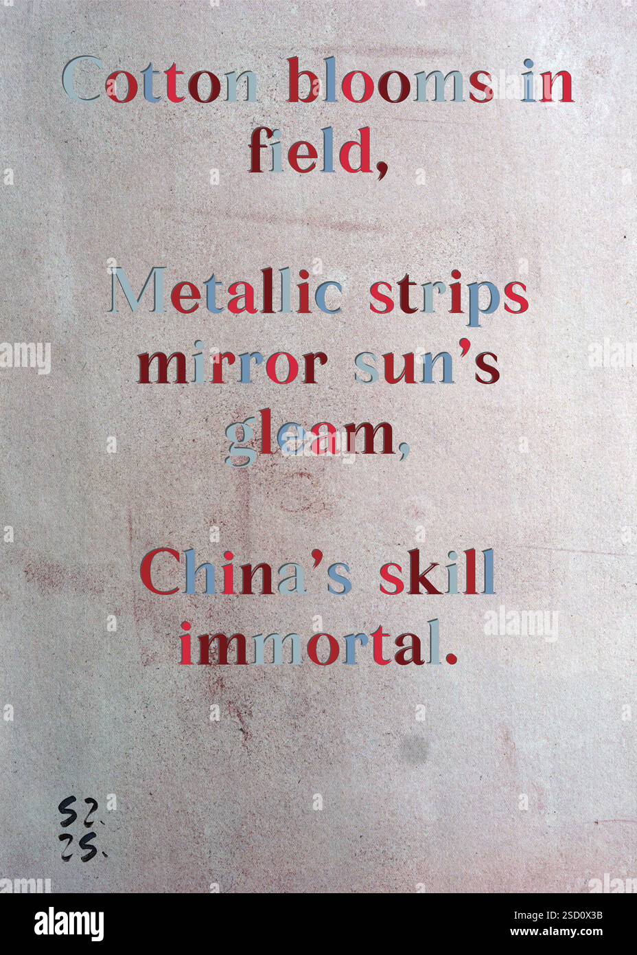 Cotton blooms in field, Metallic strips mirror sun's gleam, China's ...