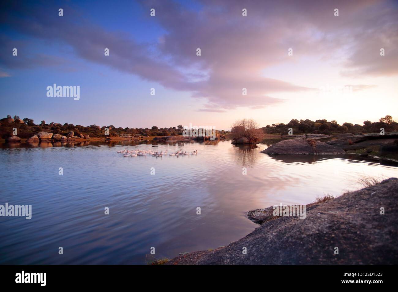 A natural setting where granite rocks and pools of water that are home ...