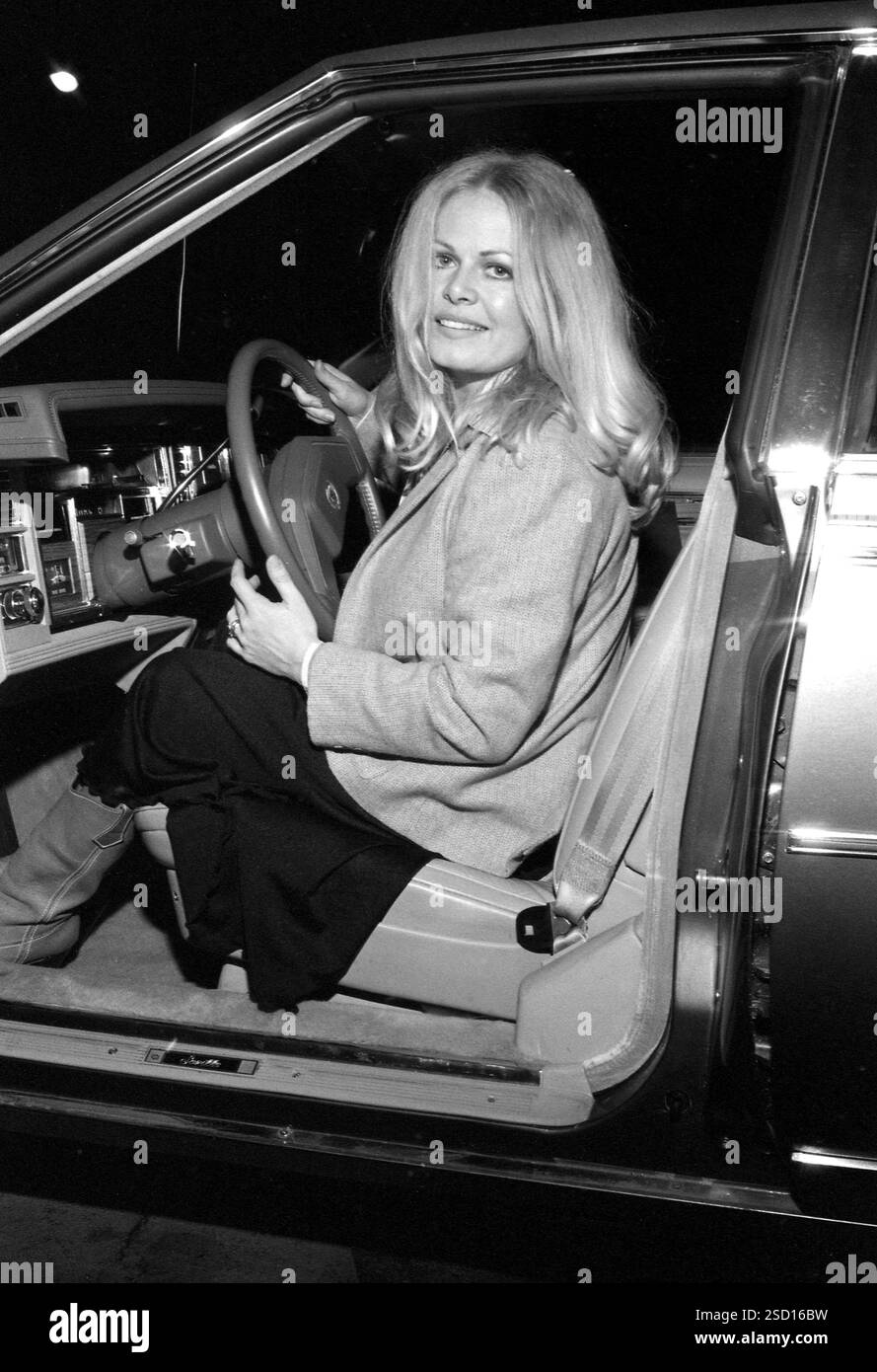 Sally Struthers Circa 1980's Credit: Ralph Dominguez/MediaPunch Stock ...
