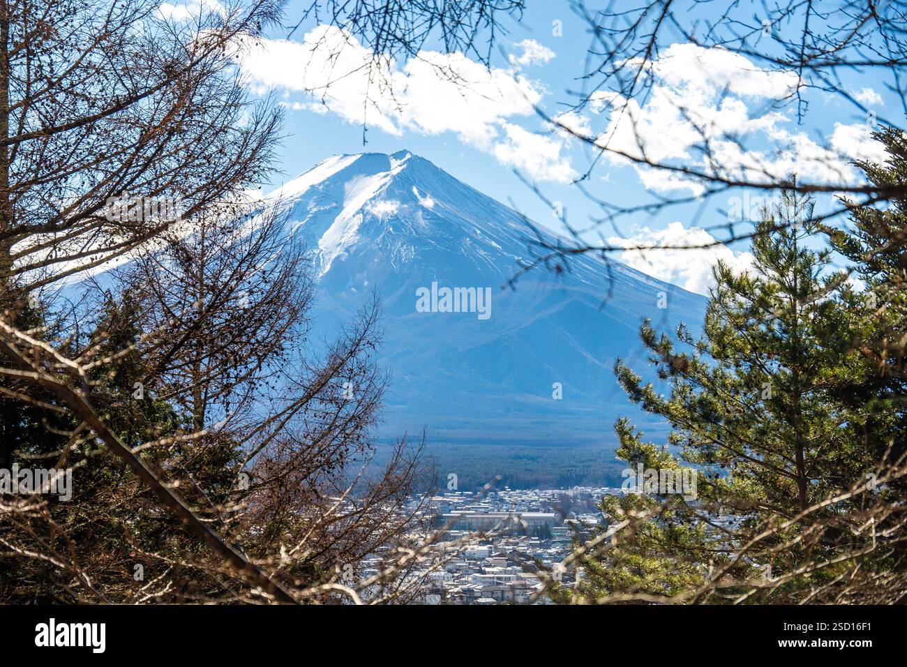 Mount Fuji in Japan in the fall Stock Photo - Alamy
