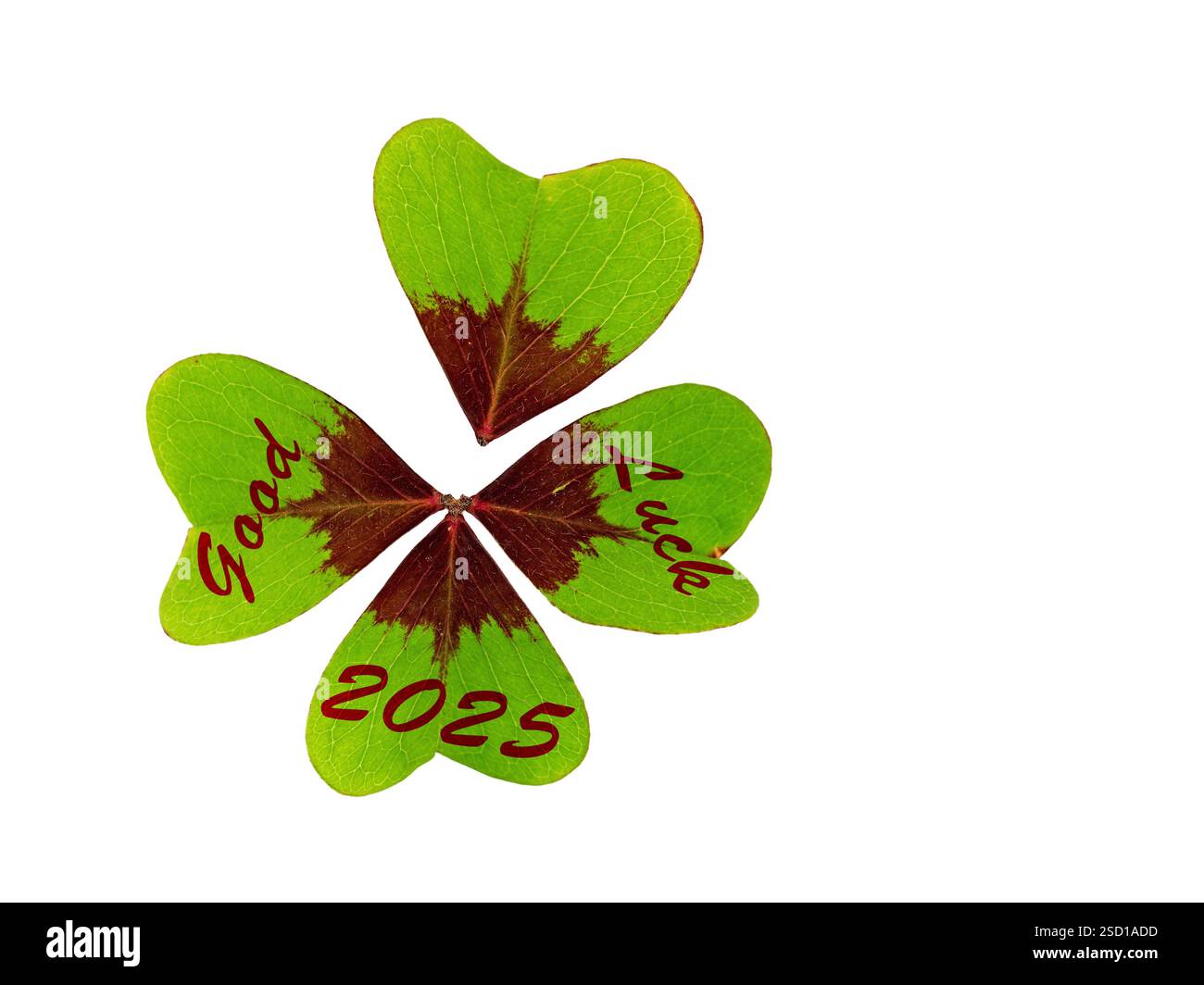 Lucky 2025 hi-res stock photography and images - Alamy