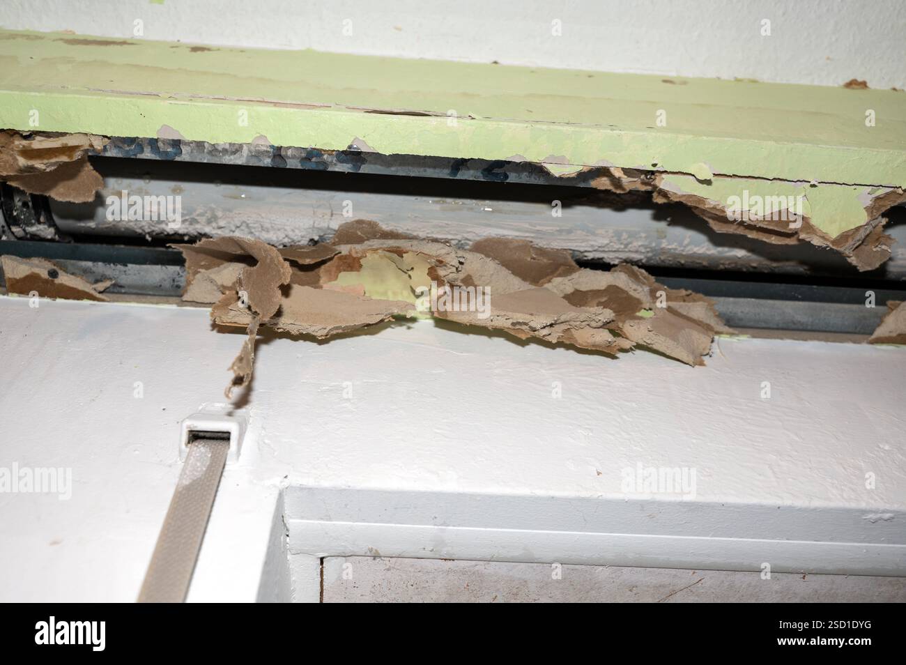 Wet and partially pried open ceiling wall in an apartment, with water ...