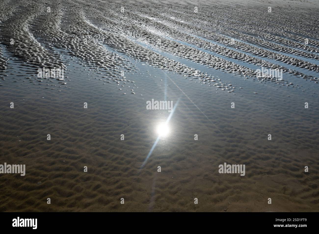 Ripple marks at low tide in the sand in the sunlight, with the ...
