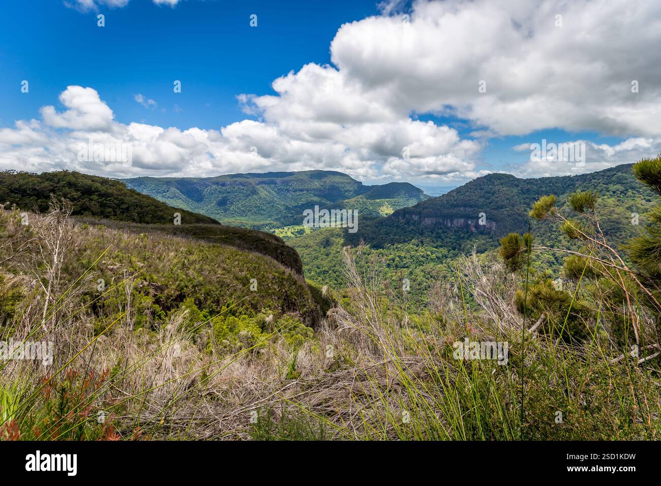 View of Mountains in Binna Burra Section of Lamington National Park ...