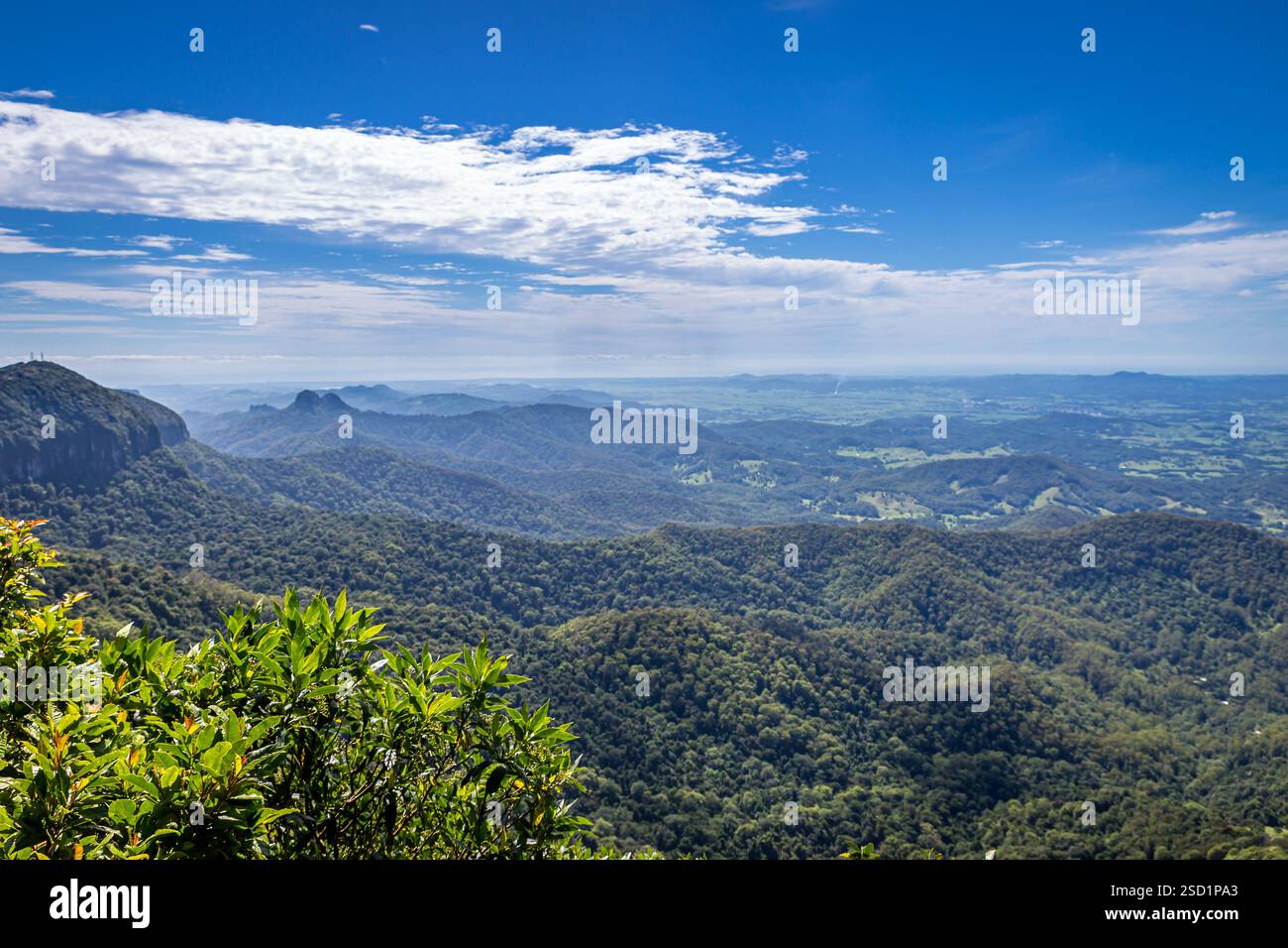 View over Rainforest from Best of all Lookout in Springbrook National ...