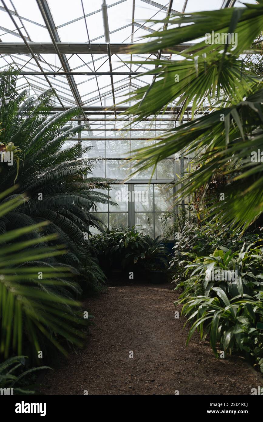 Oxygen rich plants hi-res stock photography and images - Alamy