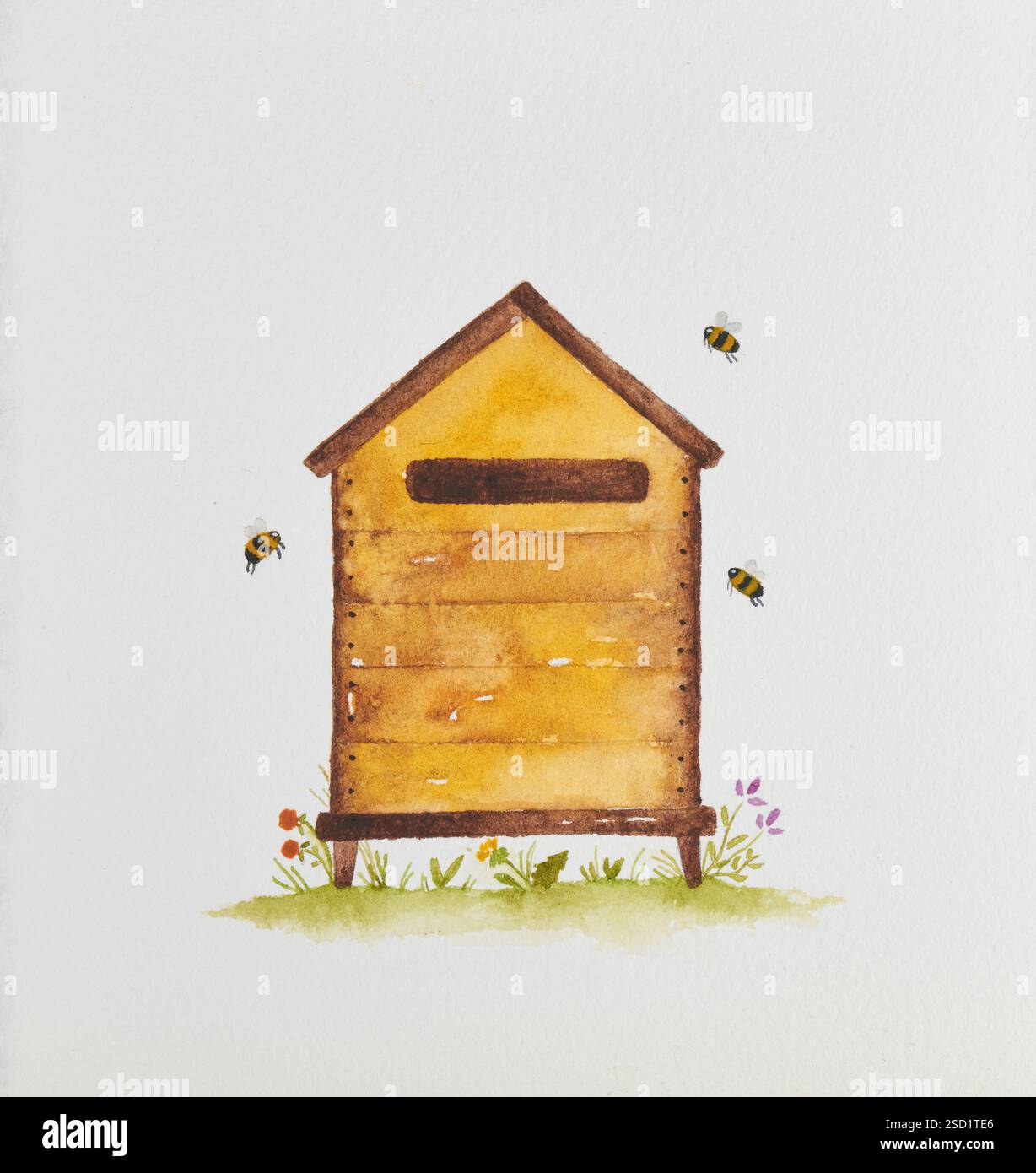 Watercolor Illustration of a Beehive Stock Photo - Alamy