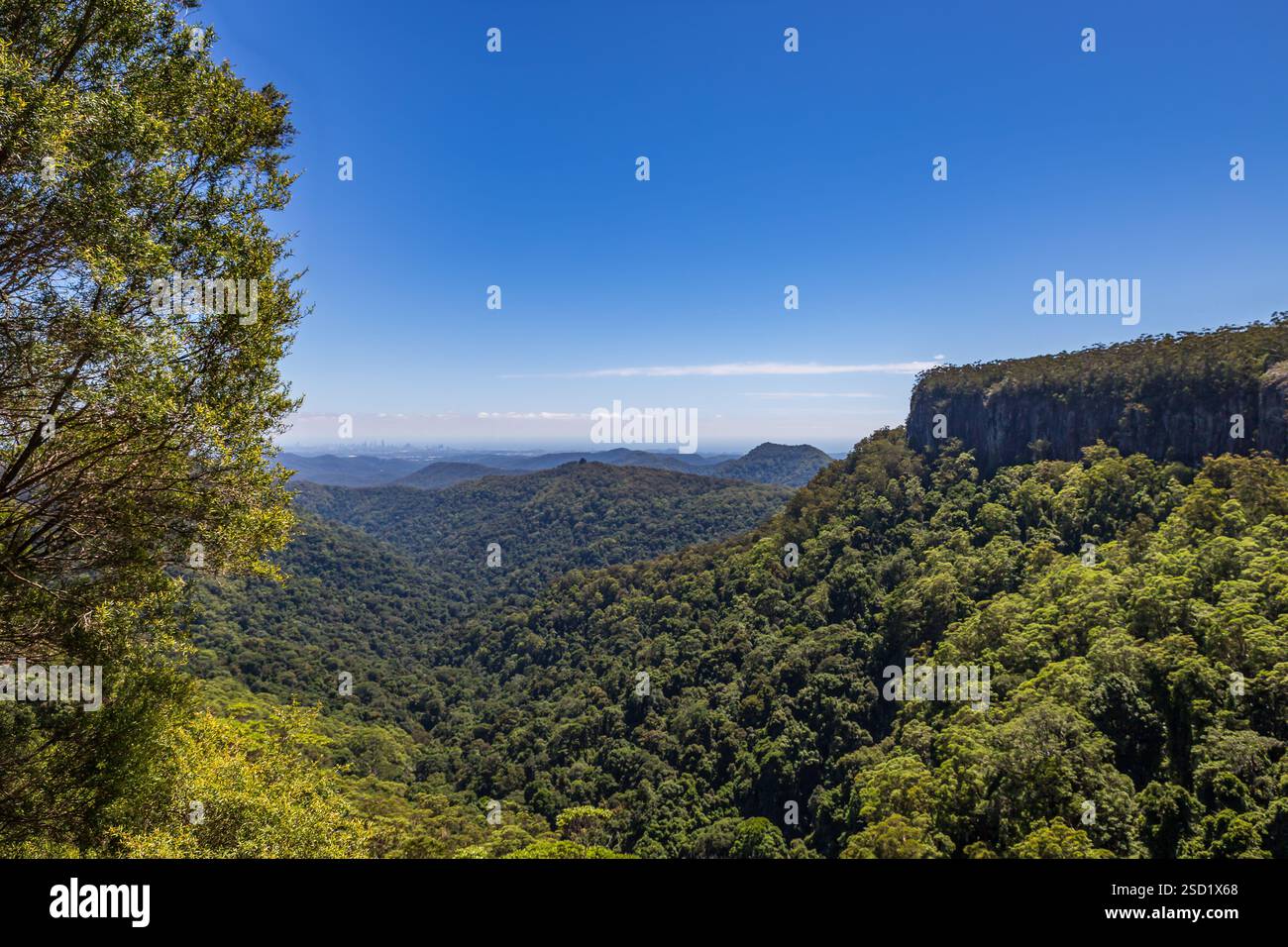 View of Rainforest in Springbrook National Park with the Skyline of ...