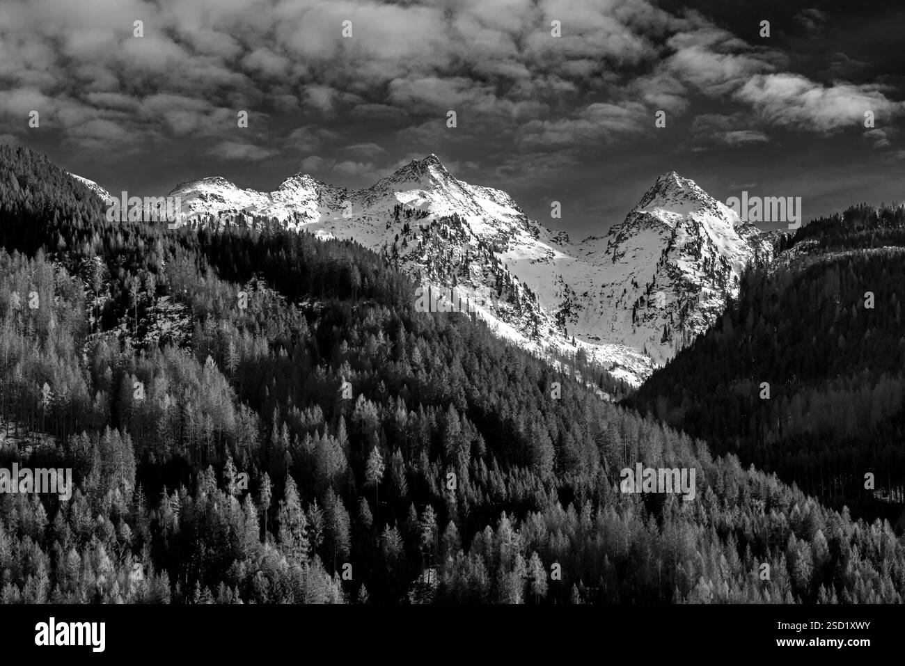 Trentino italy europe Black and White Stock Photos & Images - Alamy