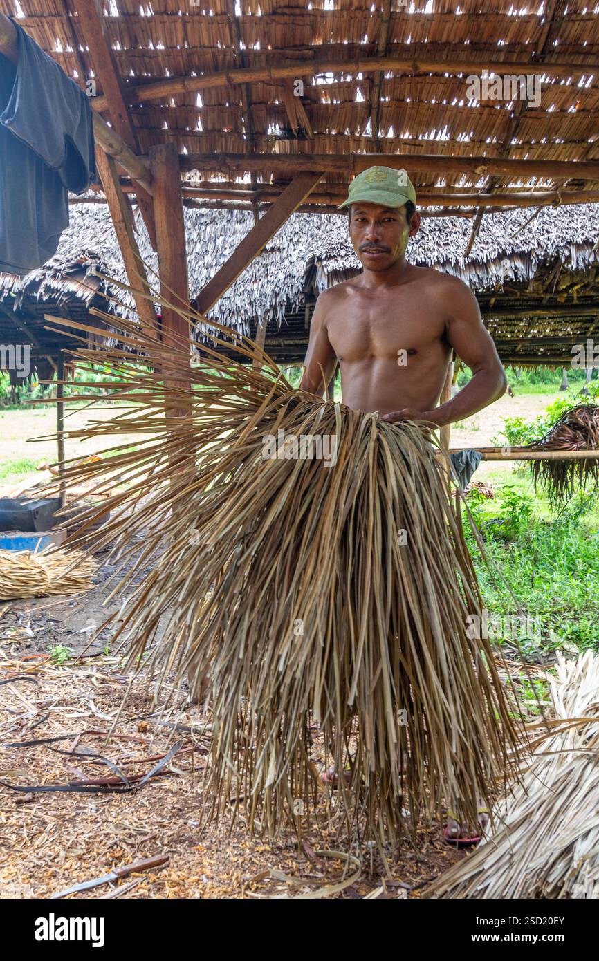 A man gathers cut and dried pandanus leaves for weaving into local mats ...