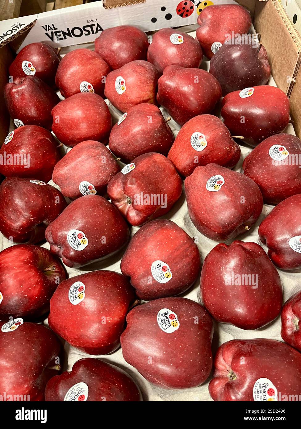 apples, red apples, cardboard crate, Val Venosta, Italian produce ...