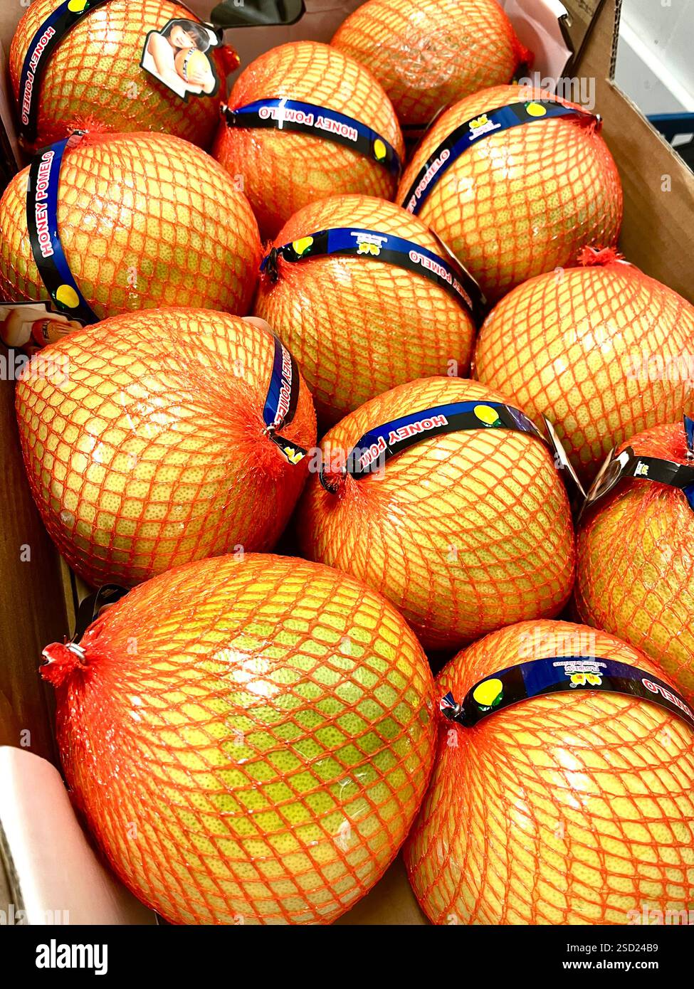 pomelo, sweet pomelo, red pomelo, fruits, warehouse, storage ...