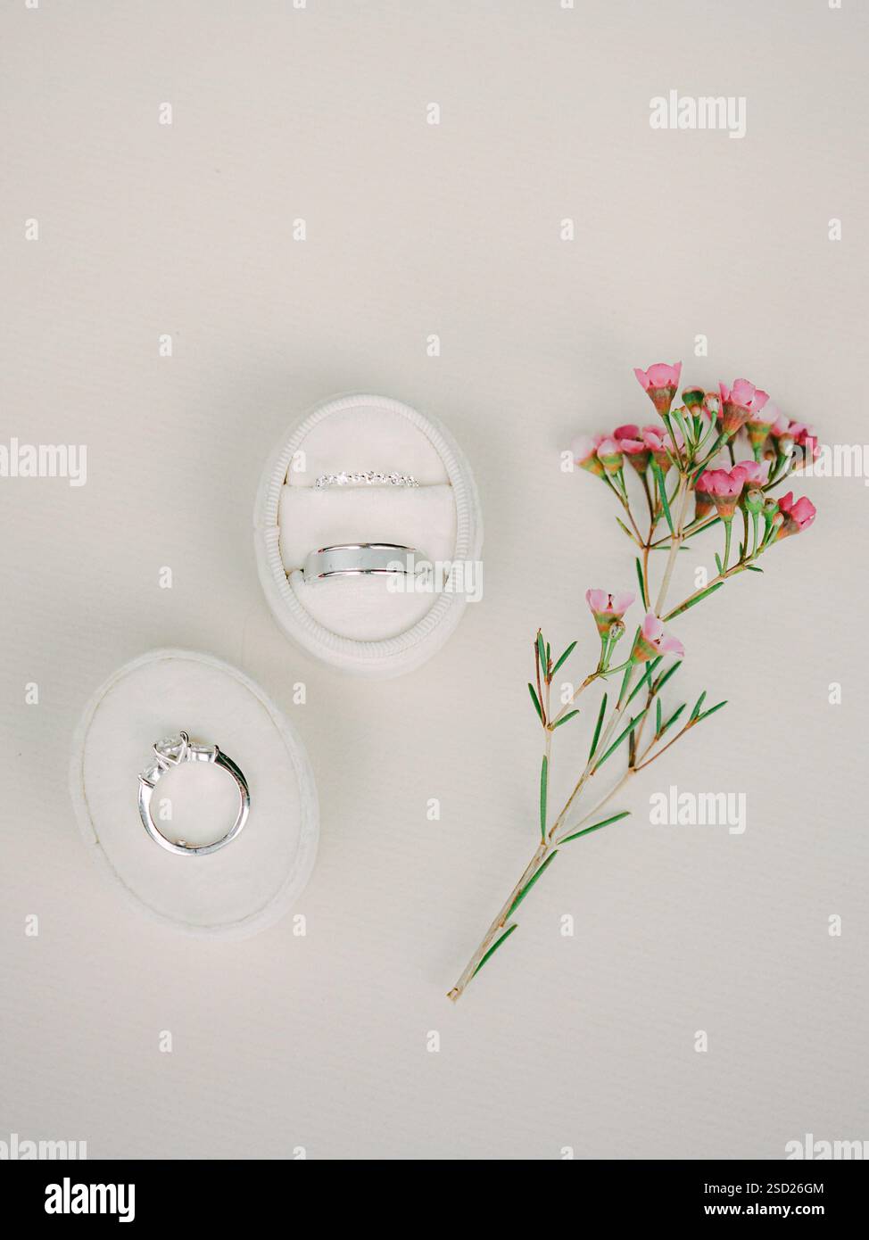 Silver wedding rings rest in a plush white box next to a small bouquet ...