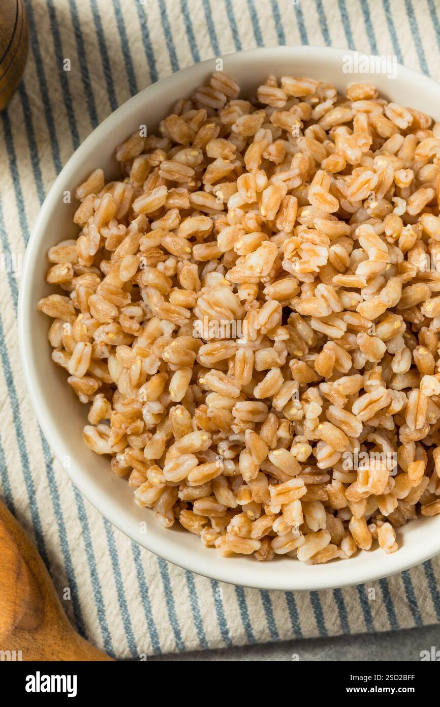 Organic Cooked Italian Farro Rice in a Bowl to Eat Stock Photo - Alamy
