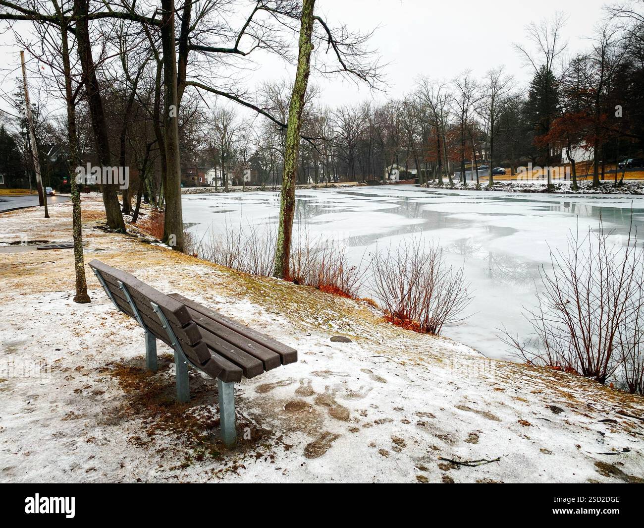 New Rochelle, USA. 6th February, 2025. Thomas Paine Pond, named for ...