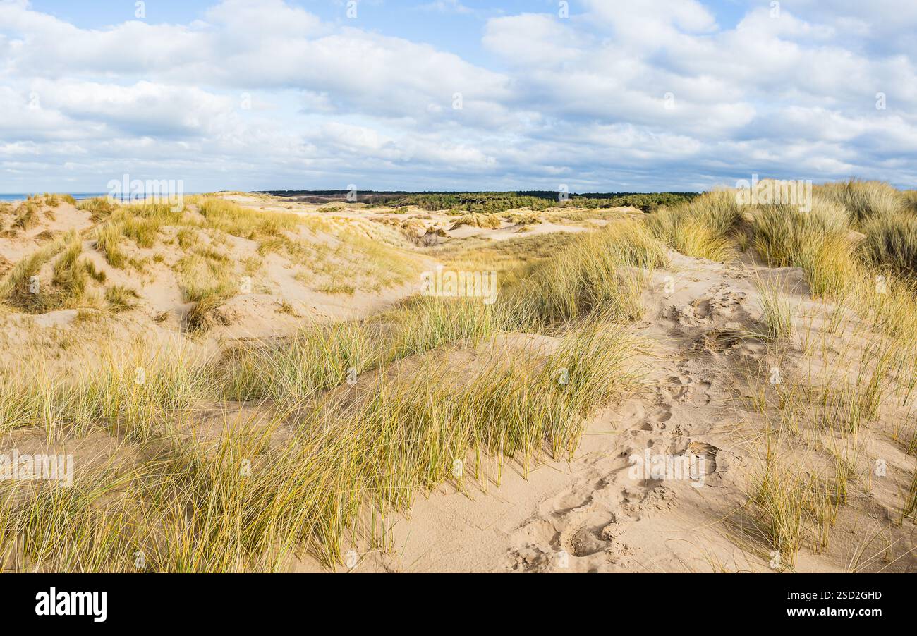 Foot prints seen over the sand dunes along the coastline at Formby ...
