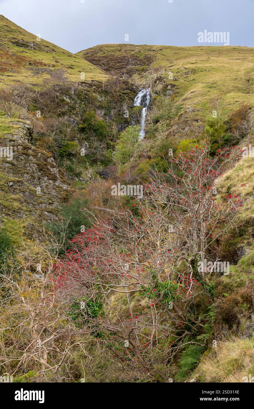 Cautley Spout waterfall near Sedbergh on the edge of the Howgill Fells ...