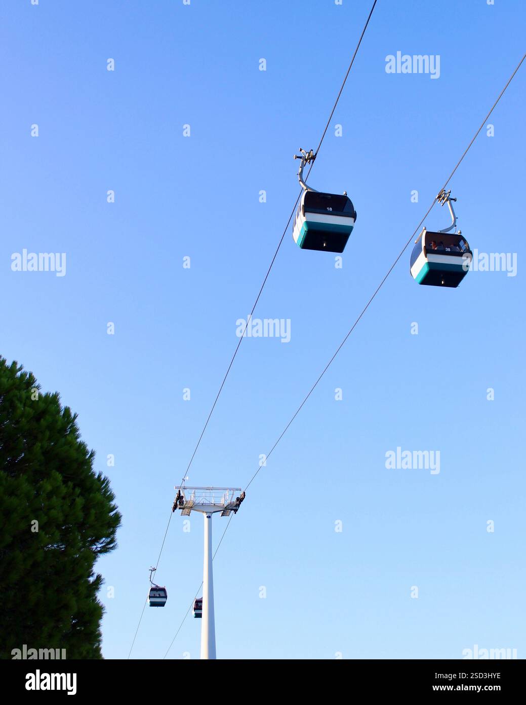 Aerial Cable Cars Suspended Overhead Against a Bright Blue Sky with ...