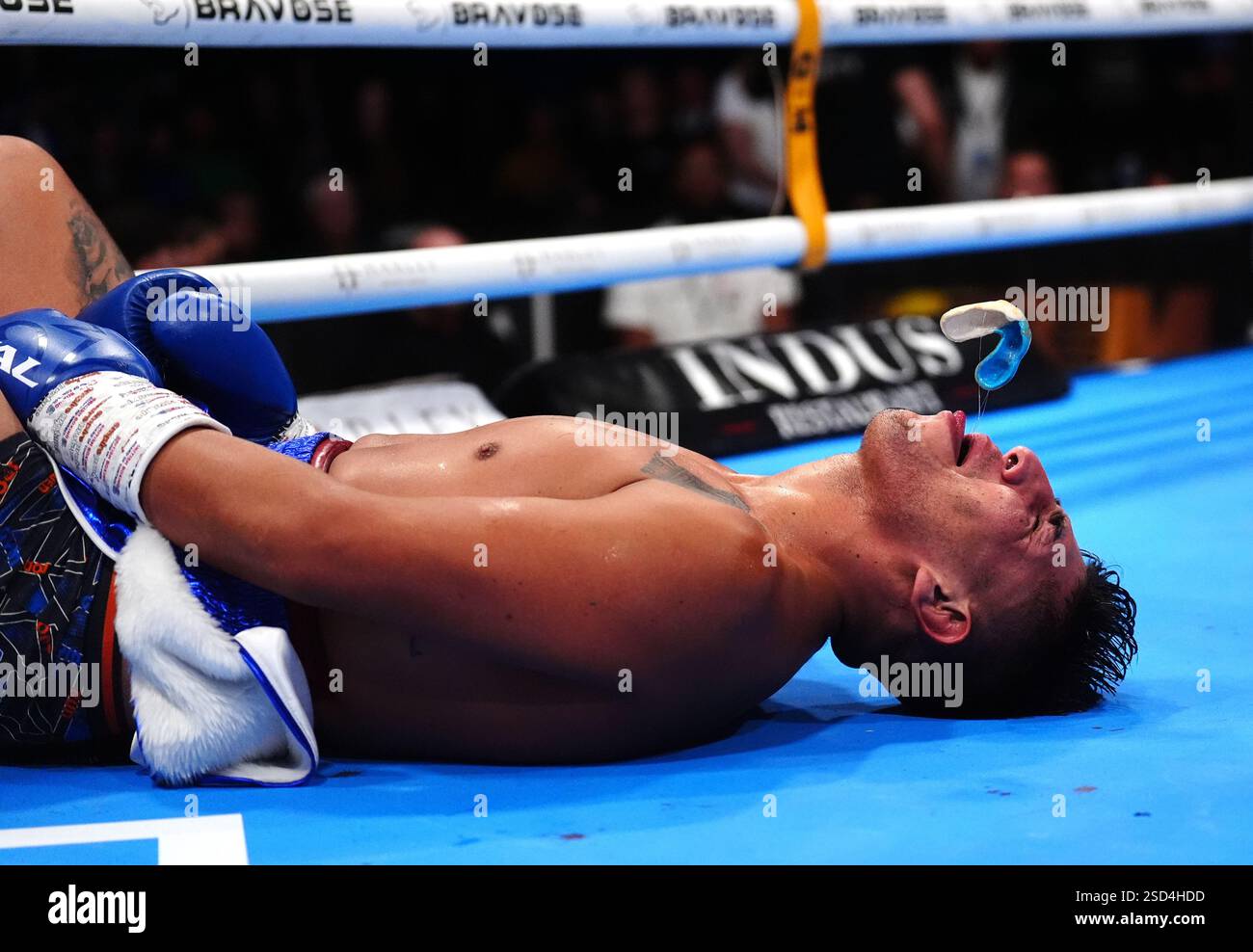 David Benitez reacts after being struck by Shakiel Thompson (not ...