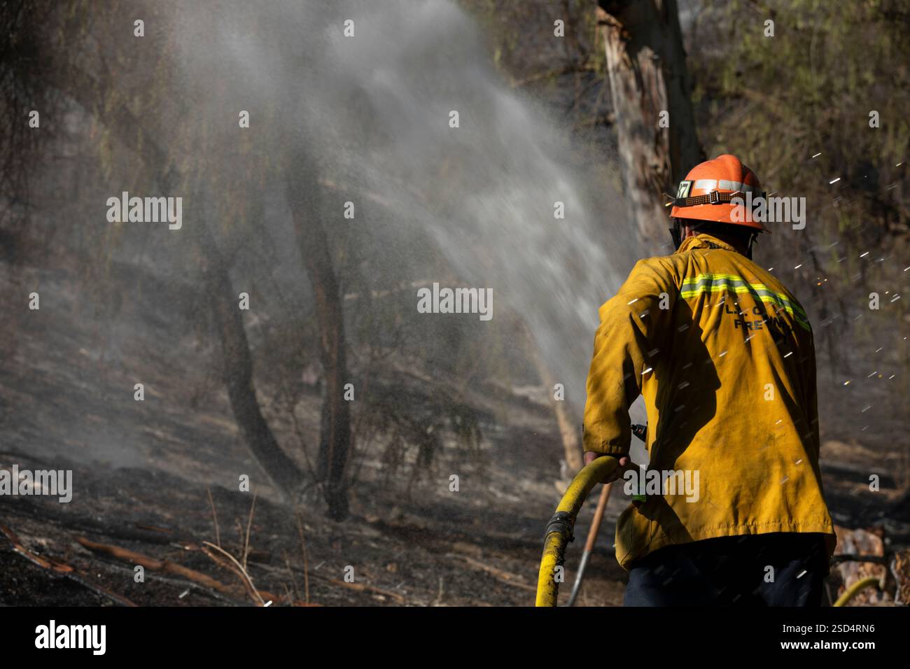 Brea, California, USA - October 3, 2021: Firefighters work to put out ...