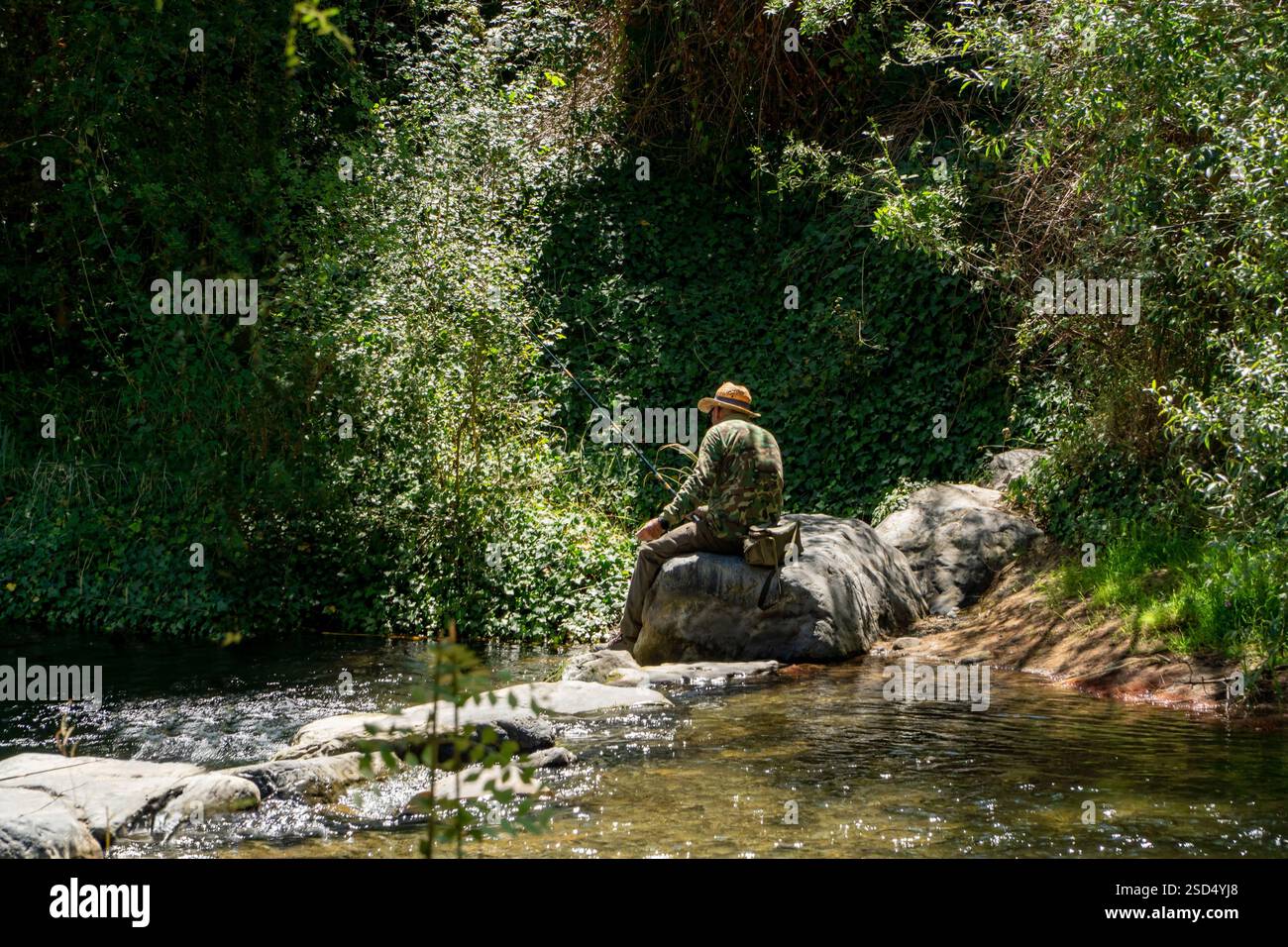 Idyllic scene of a senior fisherman fishing on de stream under the calm ...