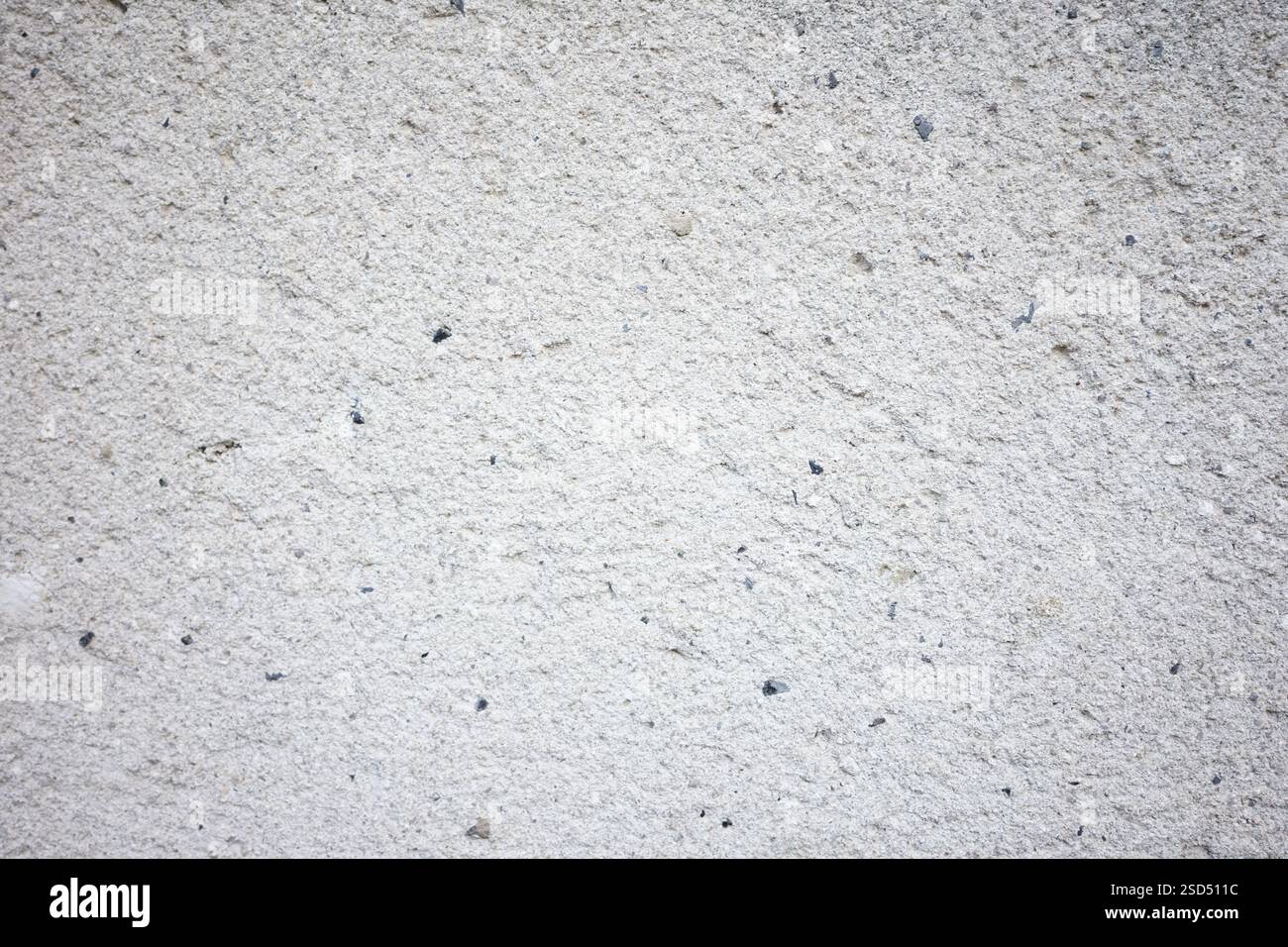 A sandy, light-colored surface featuring small stones and unique ...