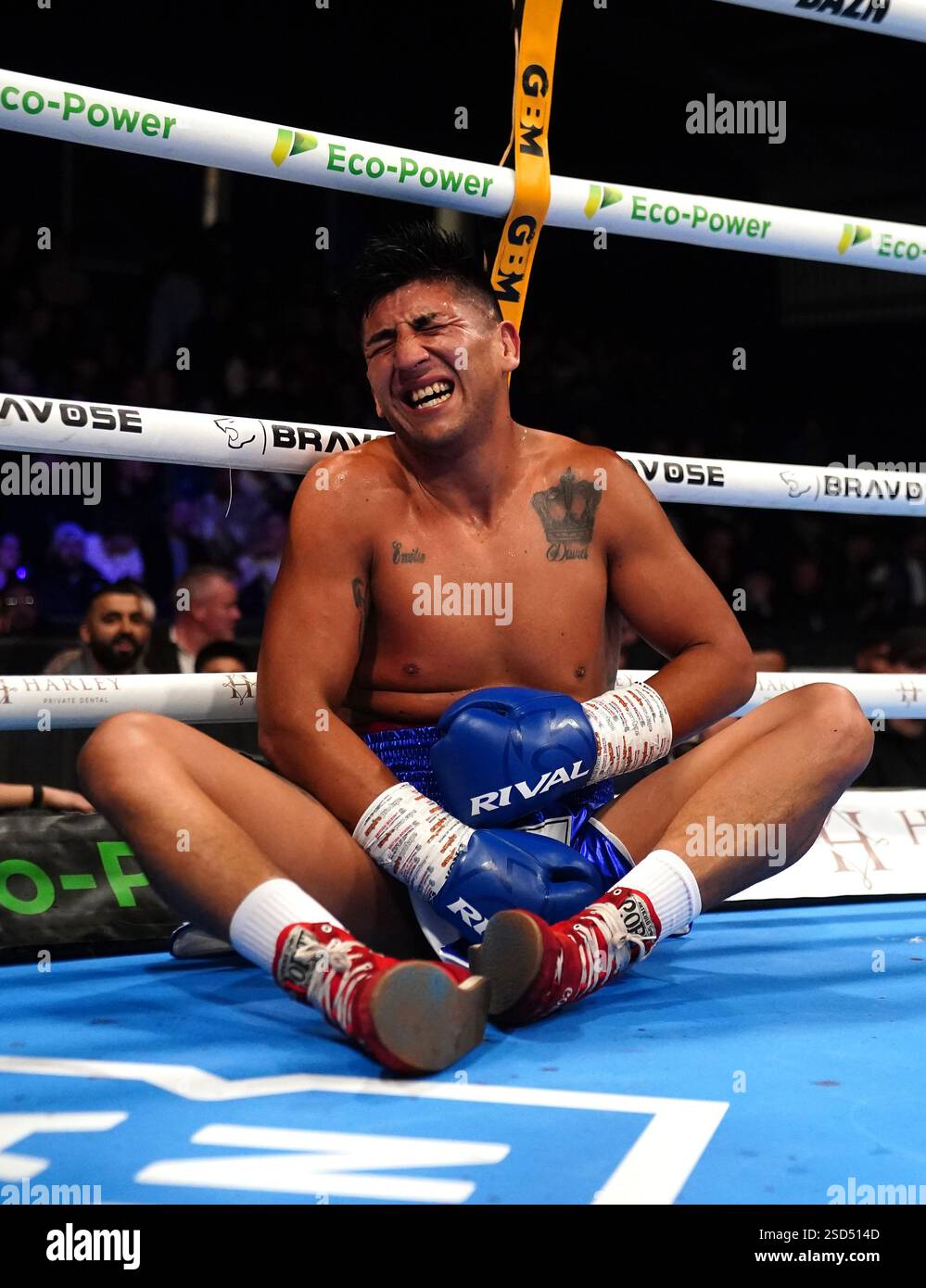 David Benitez reacts after being struck by Shakiel Thompson (not ...