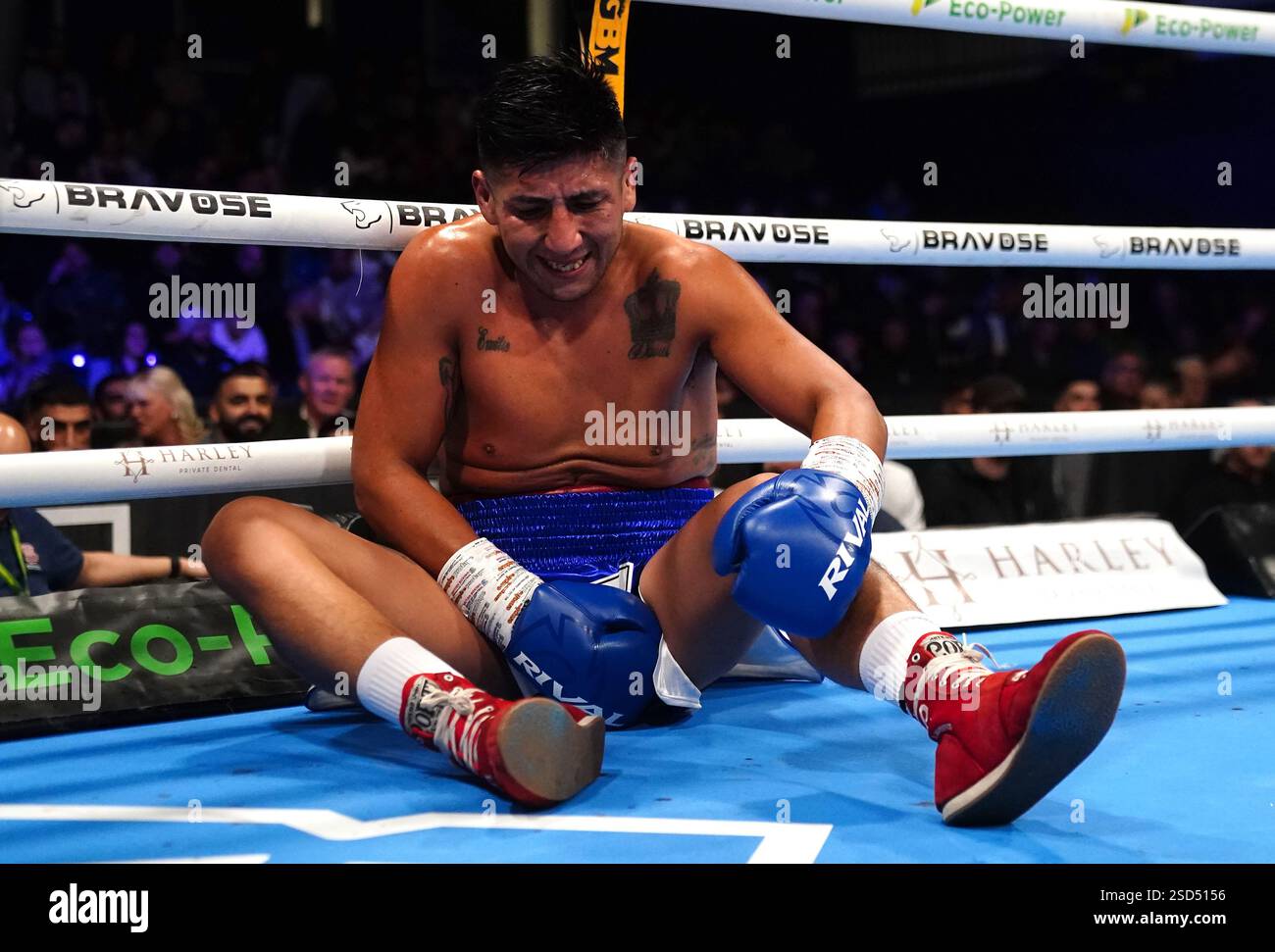 David Benitez reacts after being struck by Shakiel Thompson (not ...