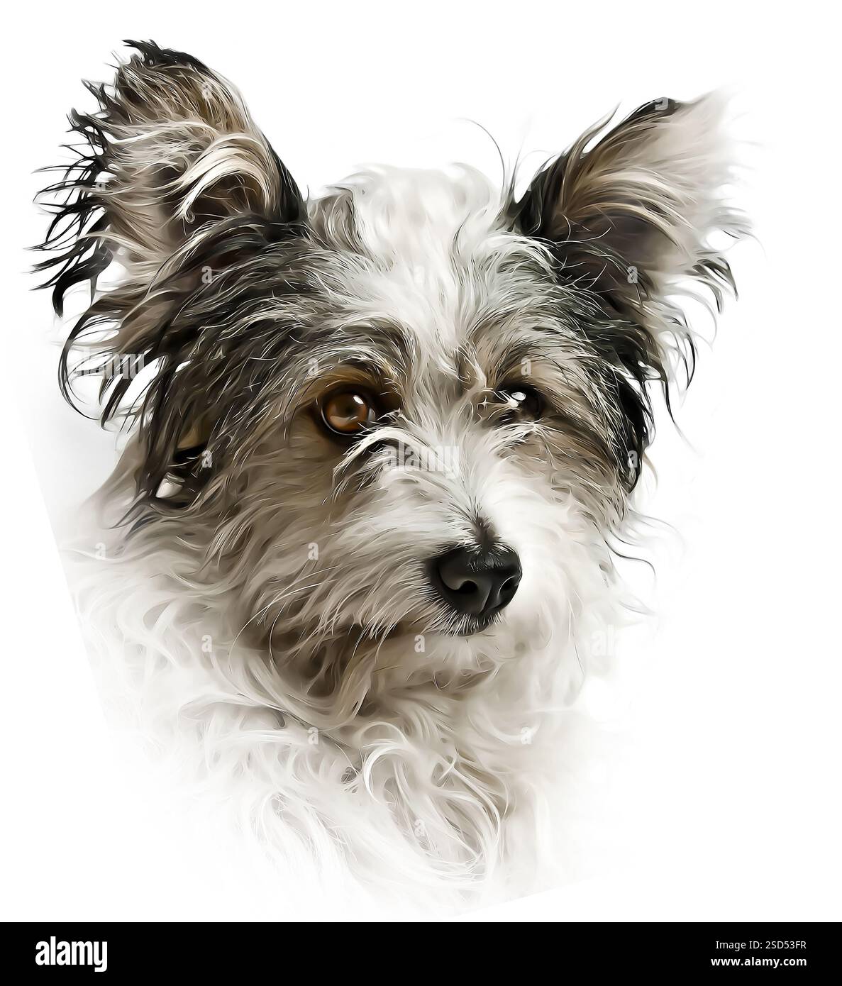 cute dog with kindly eyes Stock Photo - Alamy