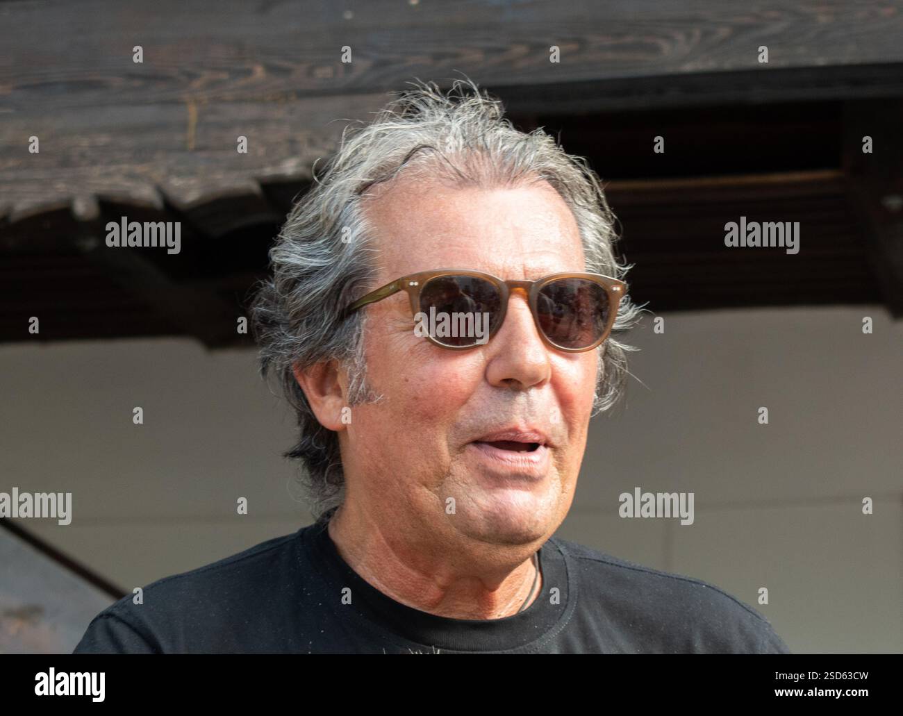 famous Serbian singer Kiki Lesandric sings in the park outdoors Stock ...