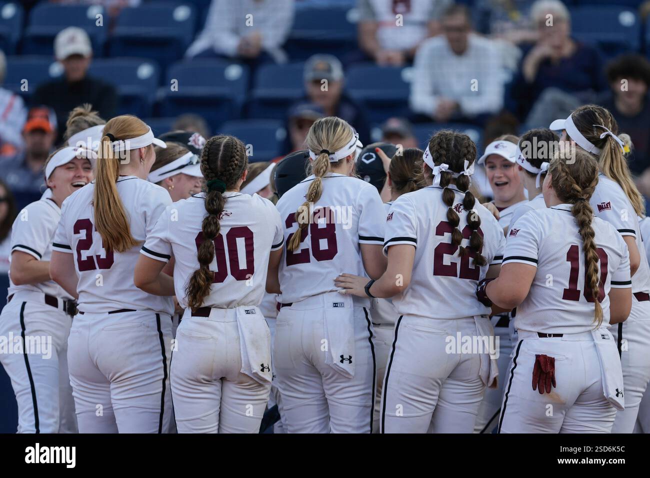 Southern Illinois celebrates a home run by Amanda Knutson during an ...