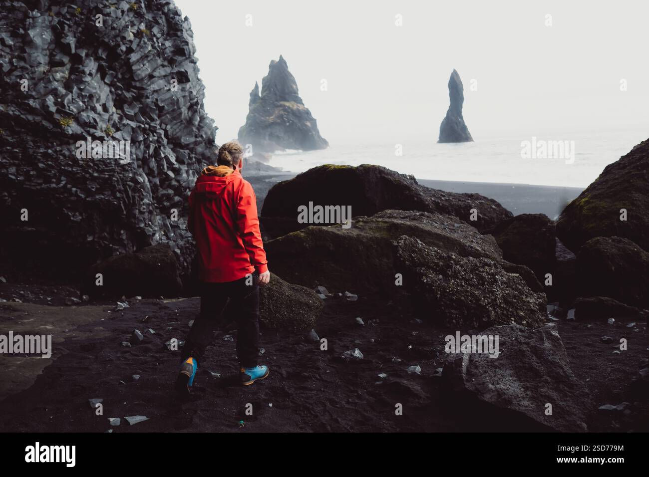 A person standing along a stunning black sandy beach Reynisfjara and ...