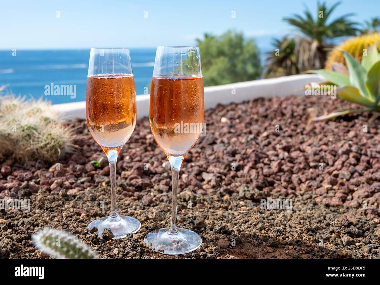 Celebration, birthday party, drinking of rose cava or champagne ...