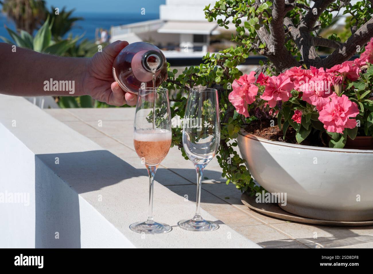 Celebration, birthday party, drinking of rose cava or champagne ...