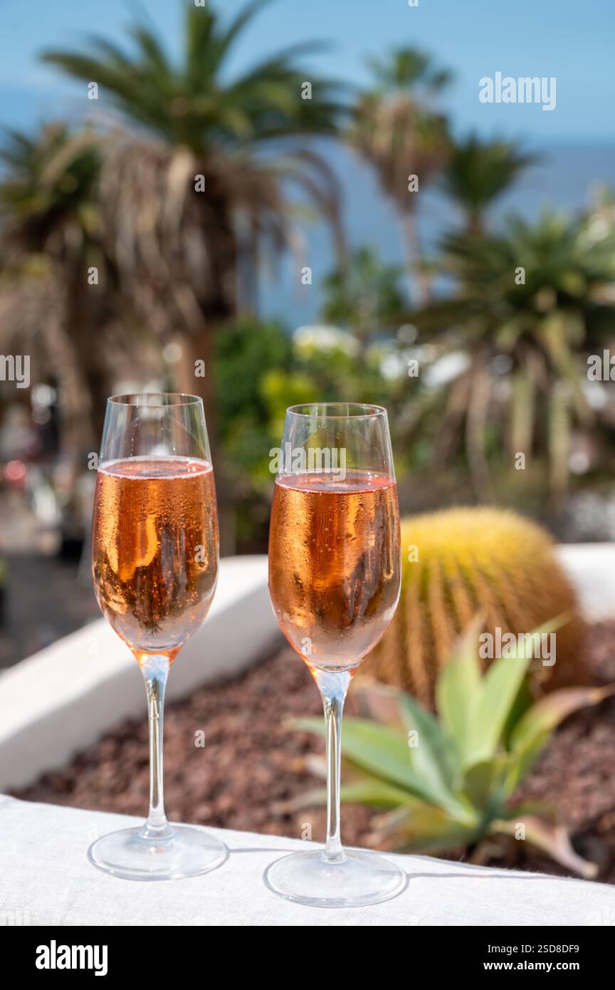 Celebration, birthday party, drinking of rose cava or champagne ...